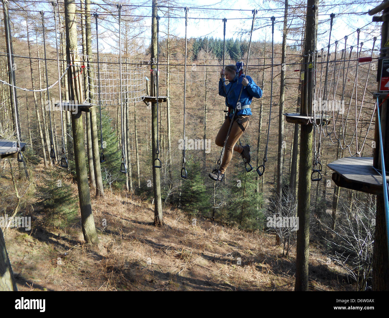 Teenage girl doing Go Ape in Dalby forest Stock Photo - Alamy
