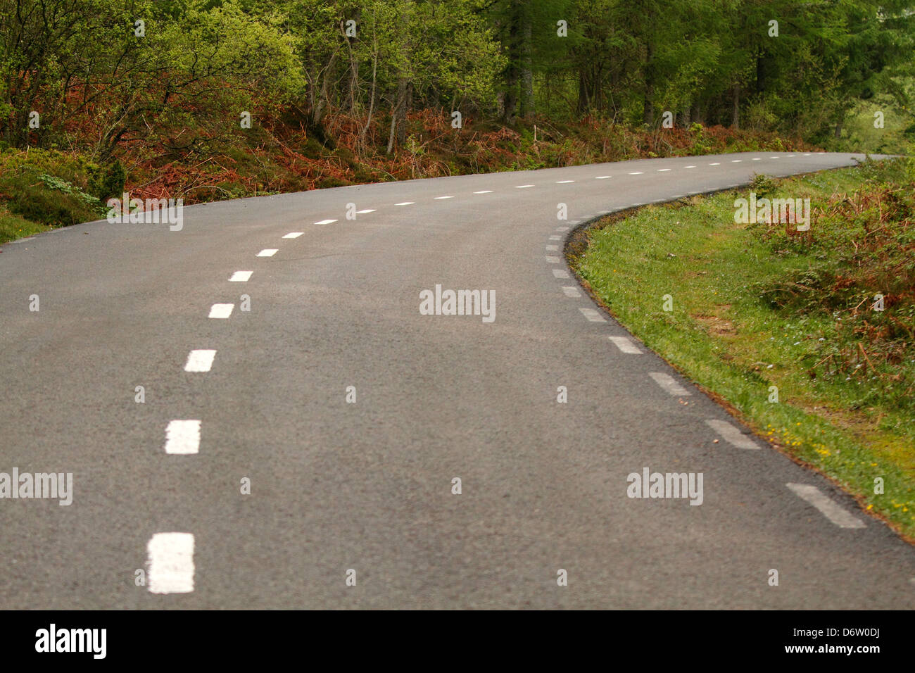 Road through the forest in Urbasa Natural Park - Scenic route and ...