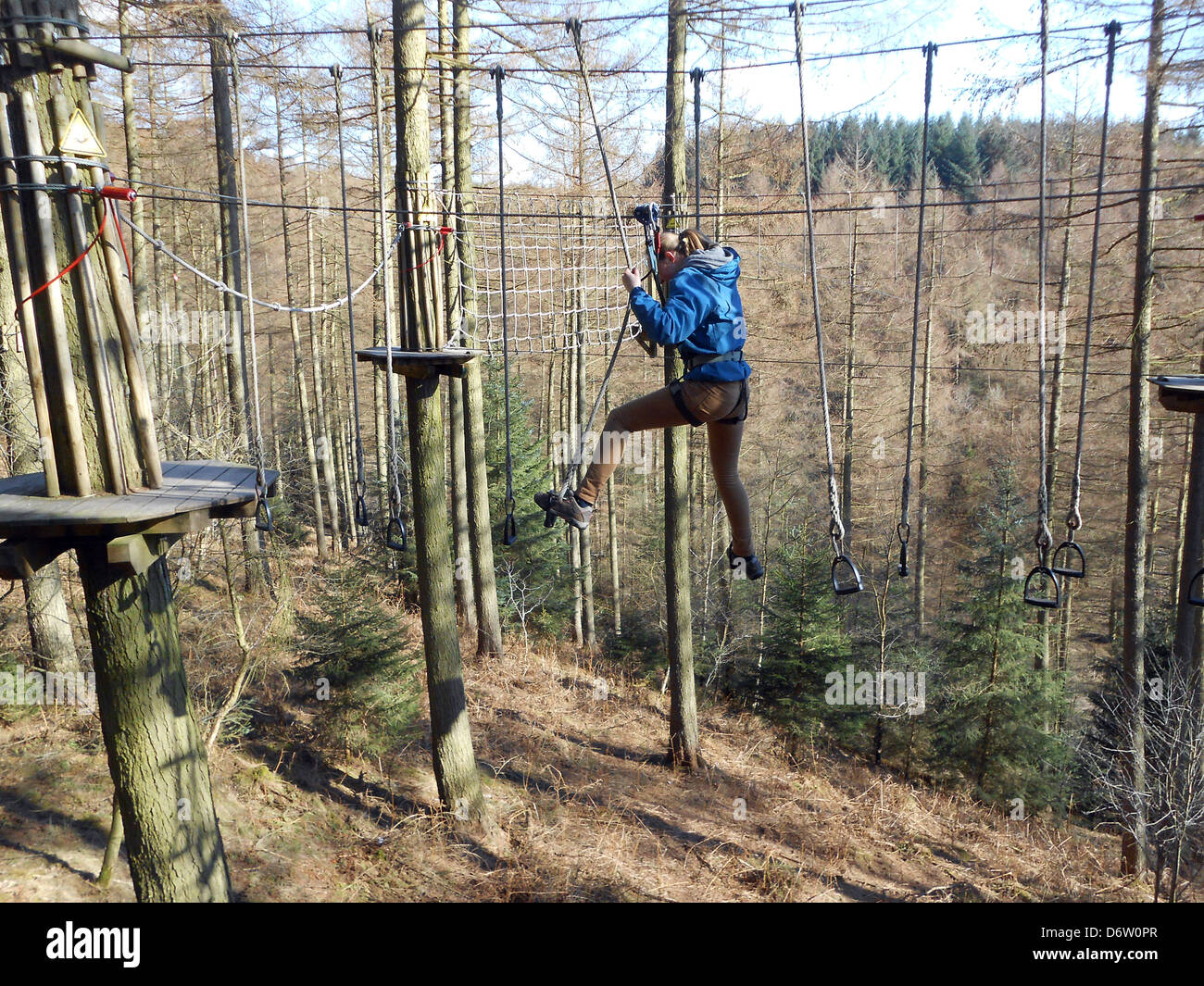 teenager on the GO Ape obstacle course at Dalby forest , england uk ...