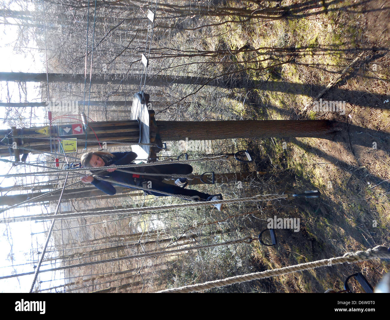 teenager on the GO Ape obstacle course at Dalby forest , england uk ...