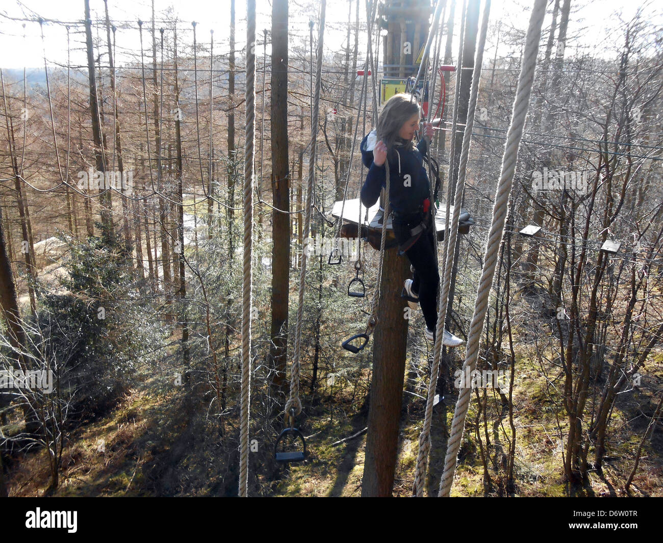 teenager on the GO Ape obstacle course at Dalby forest , england uk ...