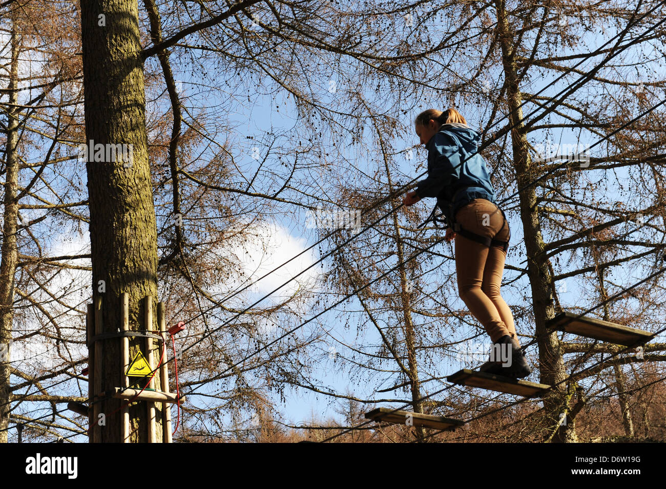 teenager on the GO Ape obstacle course at Dalby forest , england uk ...
