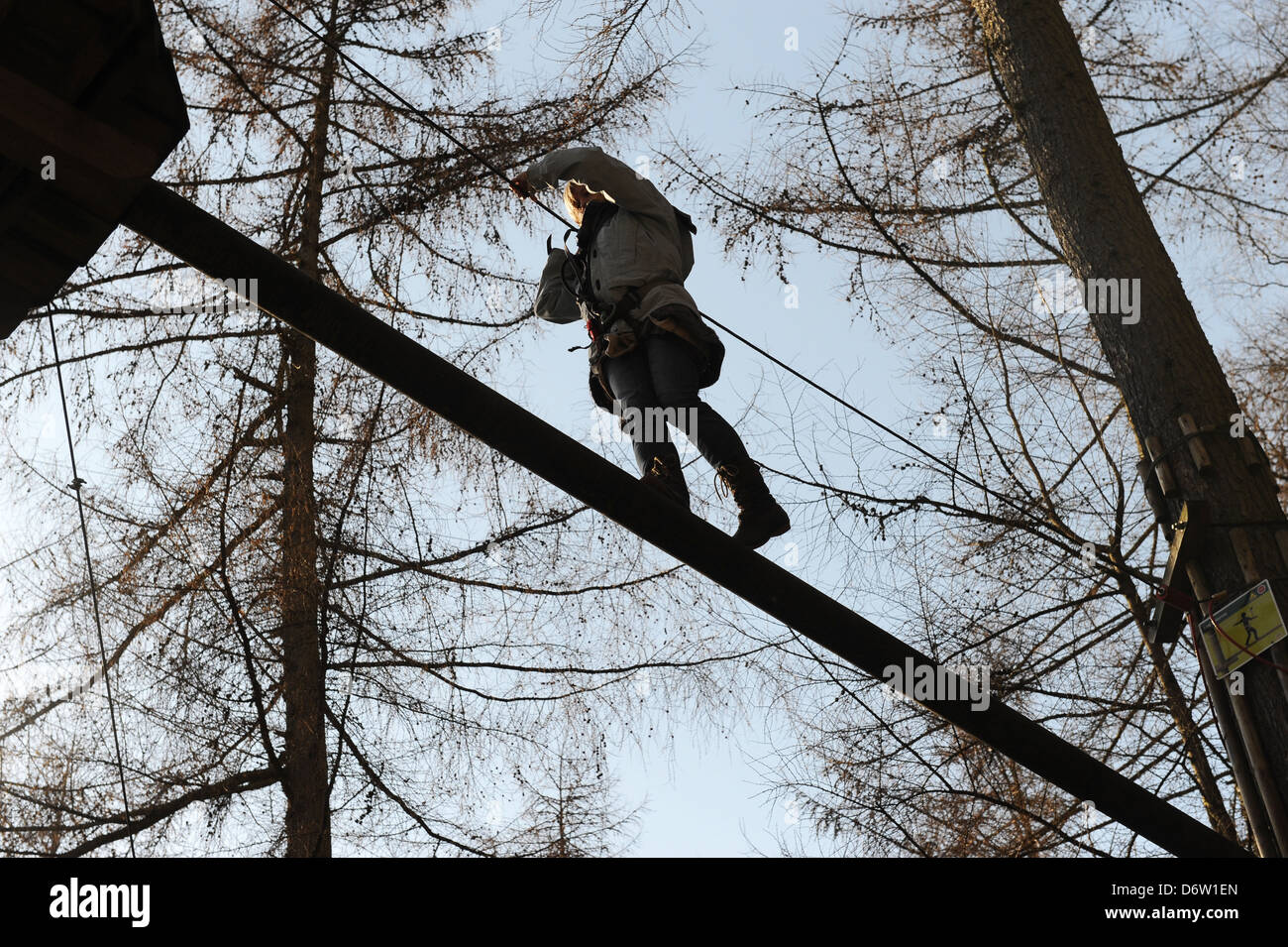 teenager on the GO Ape obstacle course at Dalby forest , england uk ...