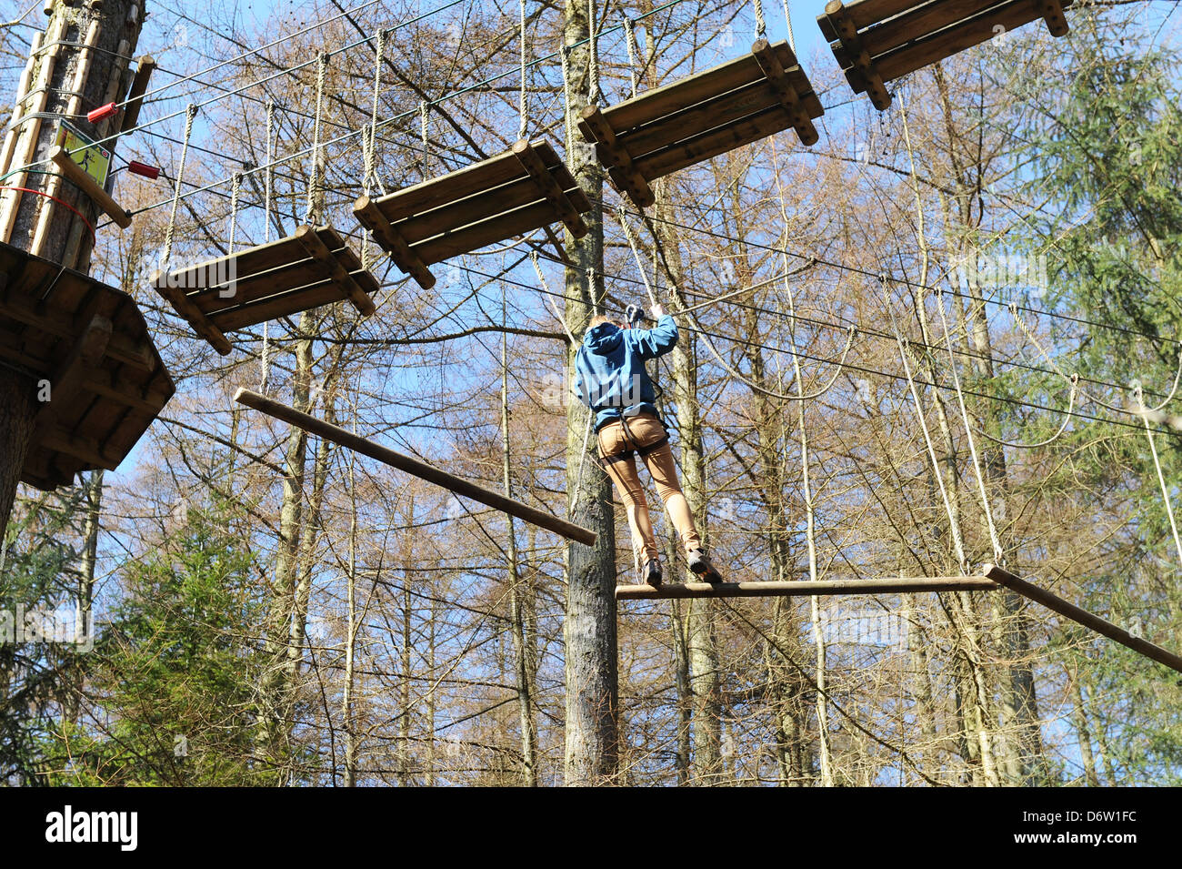 teenager on the GO Ape obstacle course at Dalby forest , england uk ...