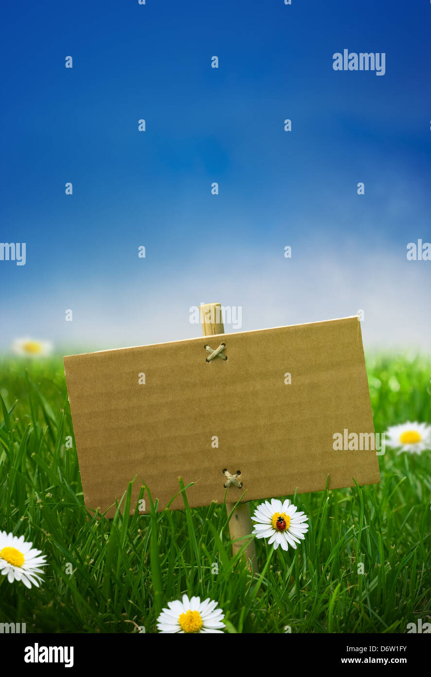 cardboard sign in a green garden grass, nature background, empty blue ...