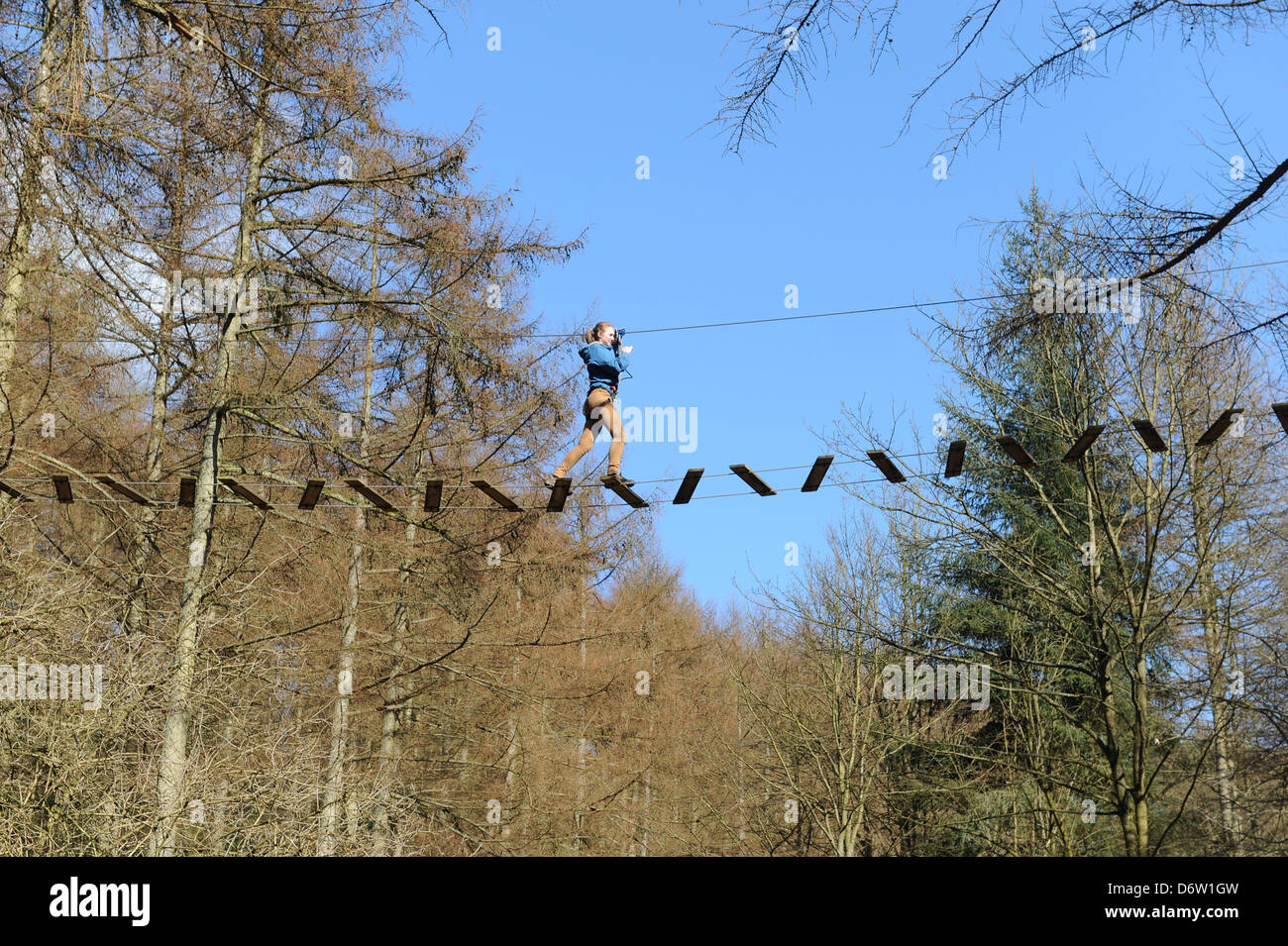 teenager on the GO Ape obstacle course at Dalby forest , england uk ...