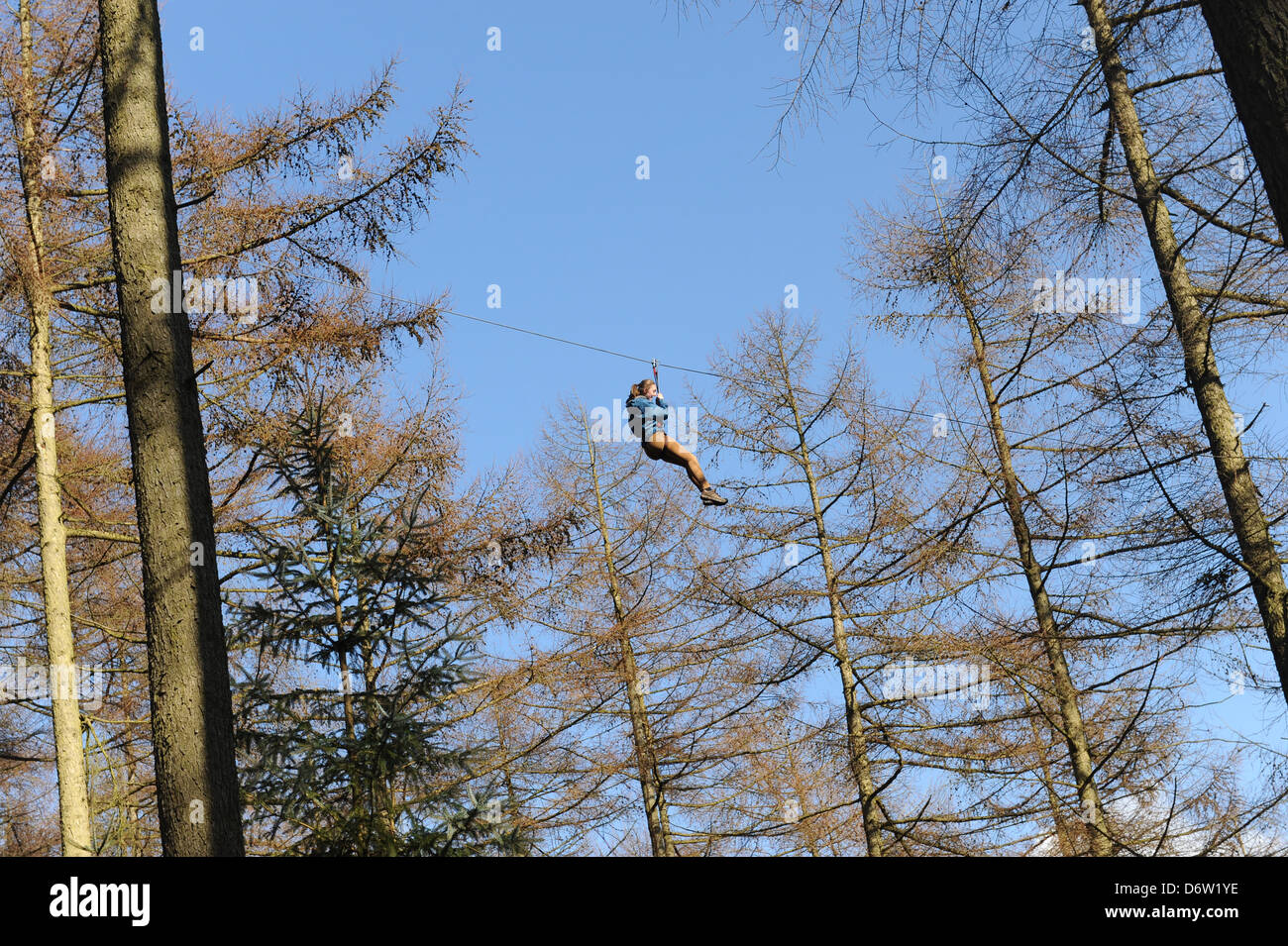 teenager on the GO Ape obstacle course at Dalby forest , england uk ...