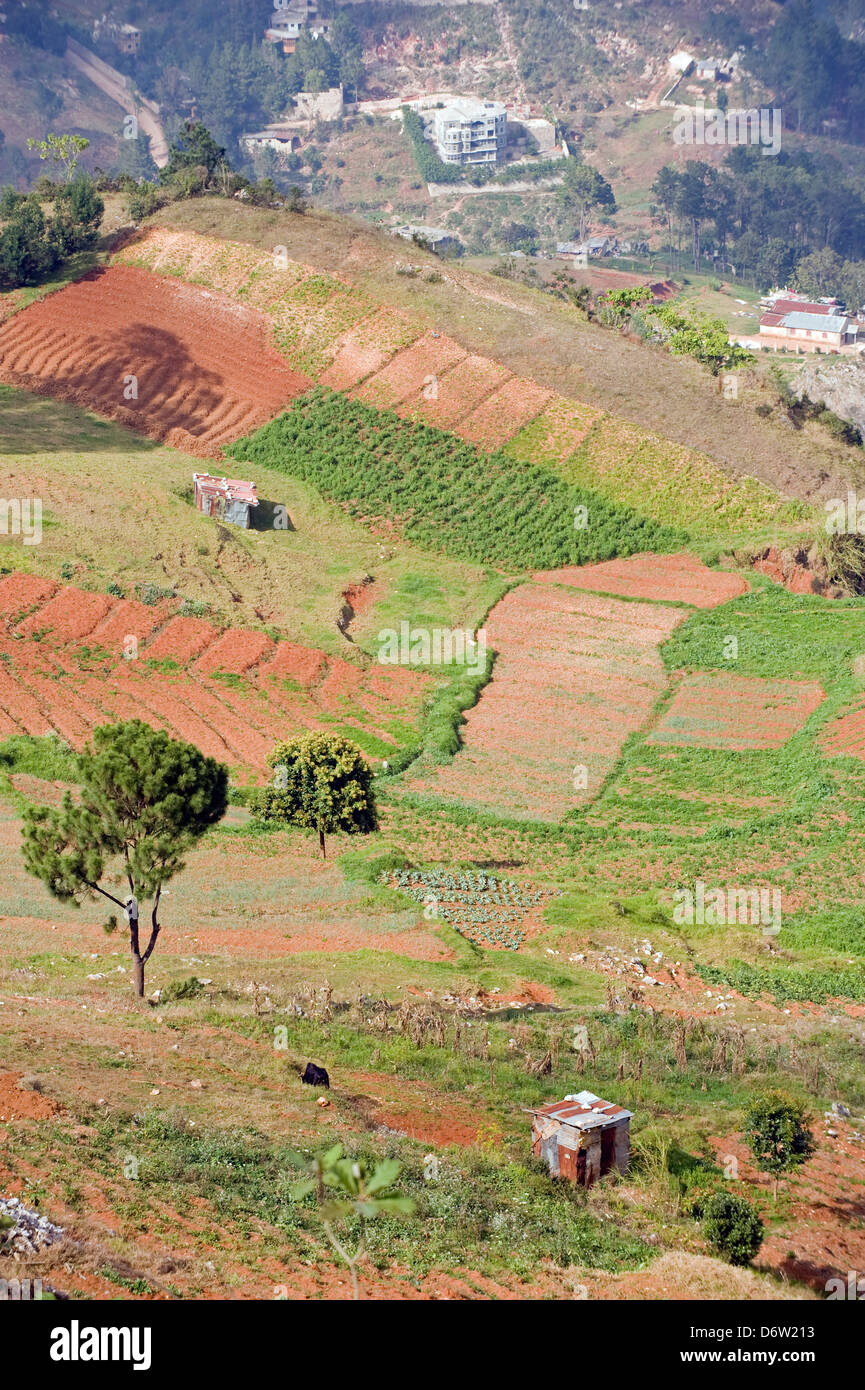 agriculture, Kenscoff mountains above Port au Prince, Haiti, Caribbean ...