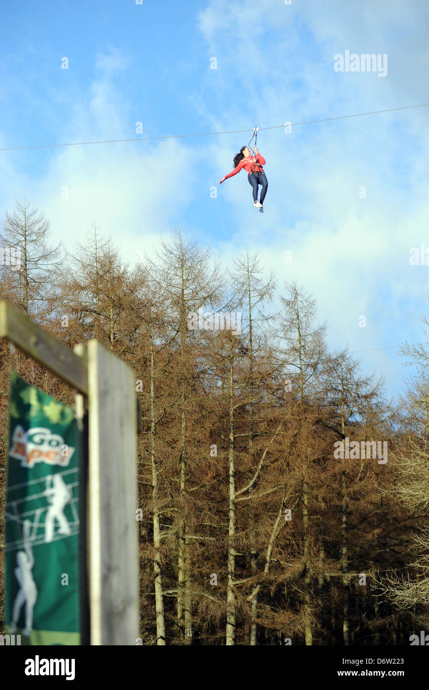 teenager on the GO Ape obstacle course at Dalby forest , england uk ...