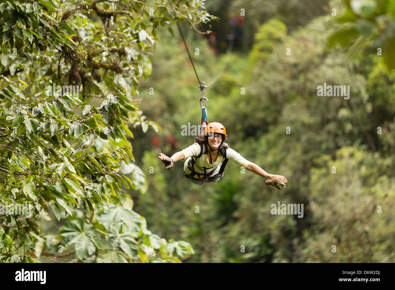 Zip Line Adventure In Ecuadorian Rainforest Banos De Agua Santa Stock ...
