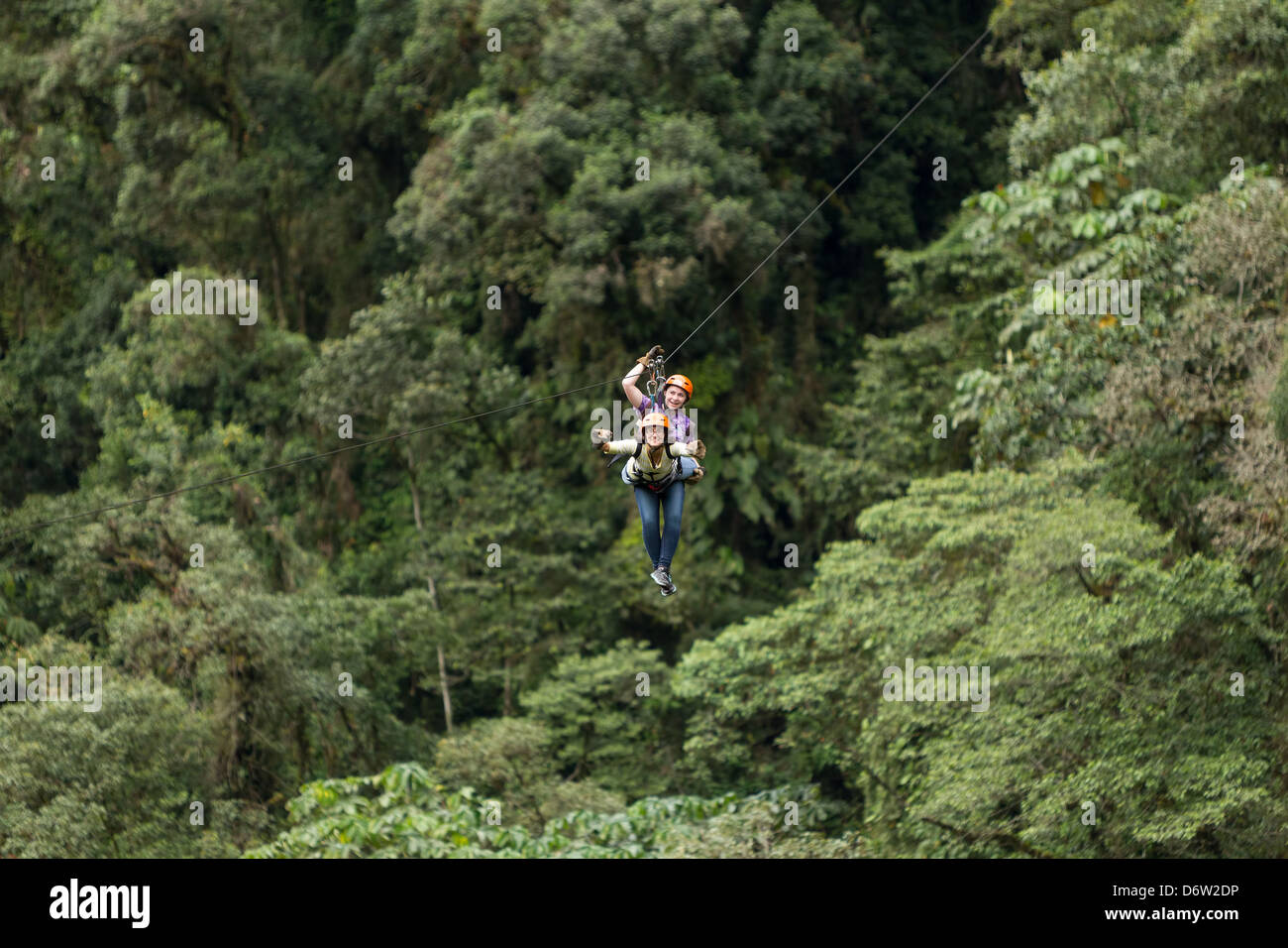 Zip Line Adventure In Ecuadorian Rainforest Banos De Agua Santa Stock ...
