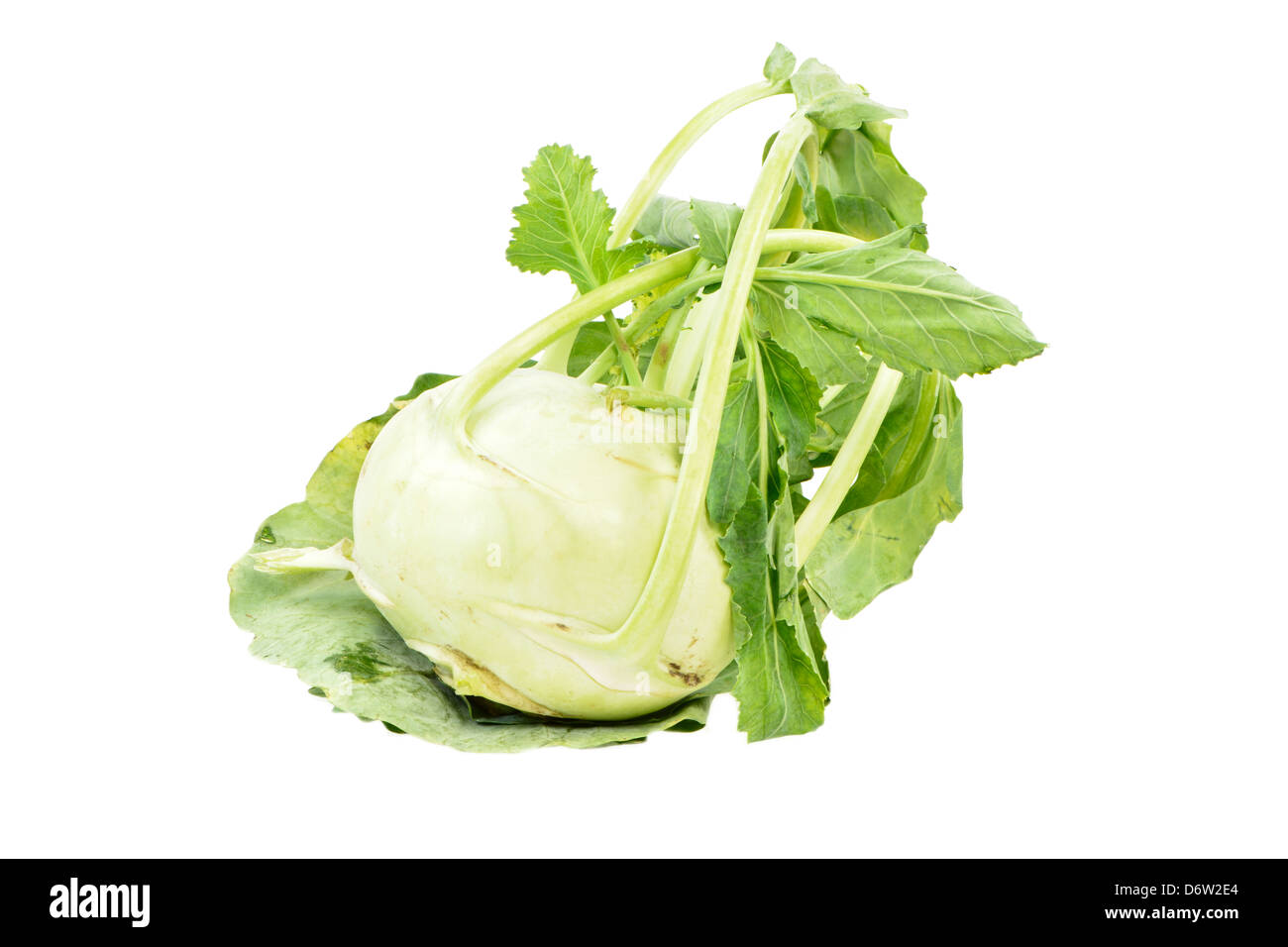 Turnip cabbage hi-res stock photography and images - Alamy