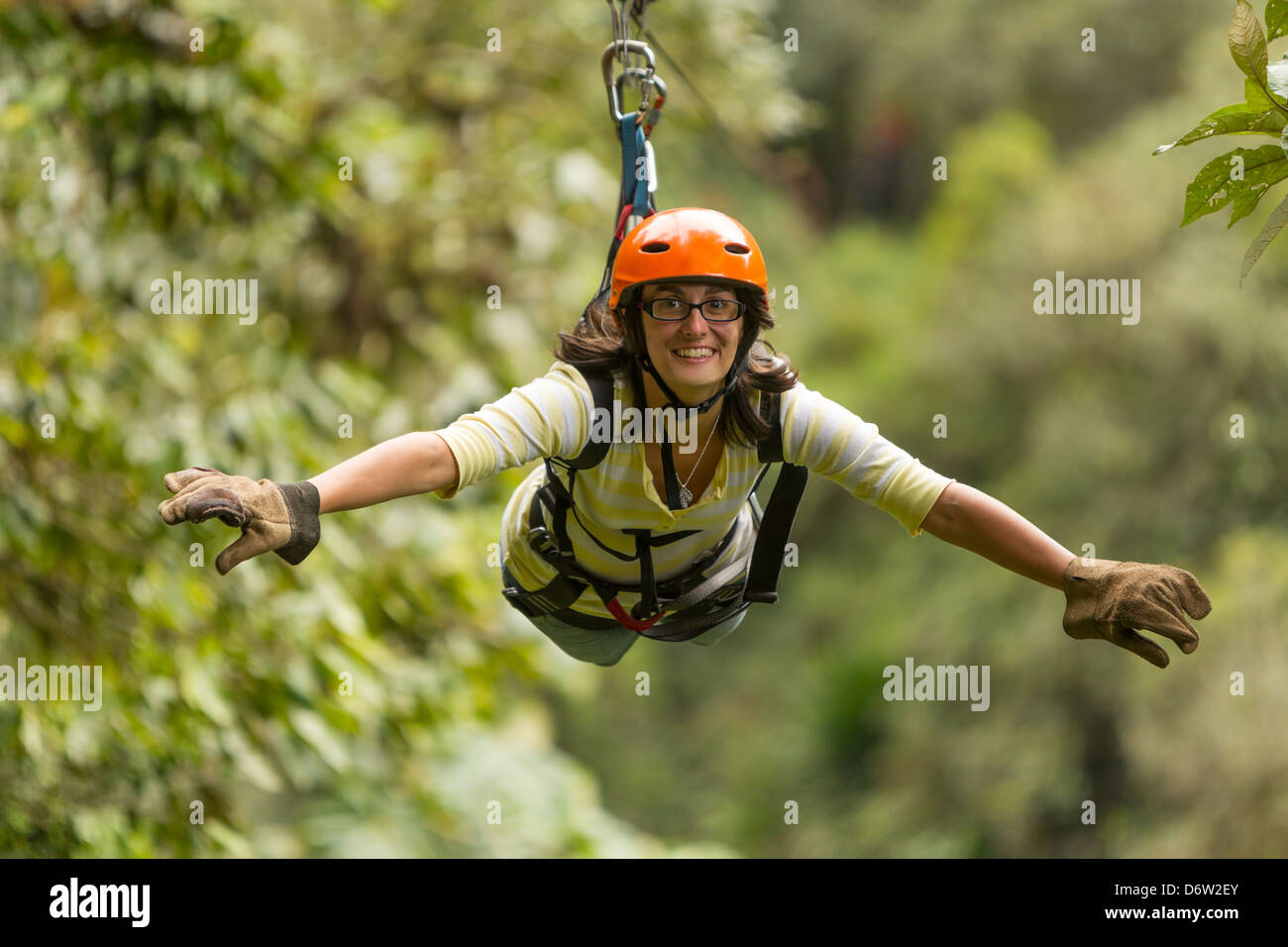 Zip Line Adventure In Ecuadorian Rainforest Banos De Agua Santa Stock ...