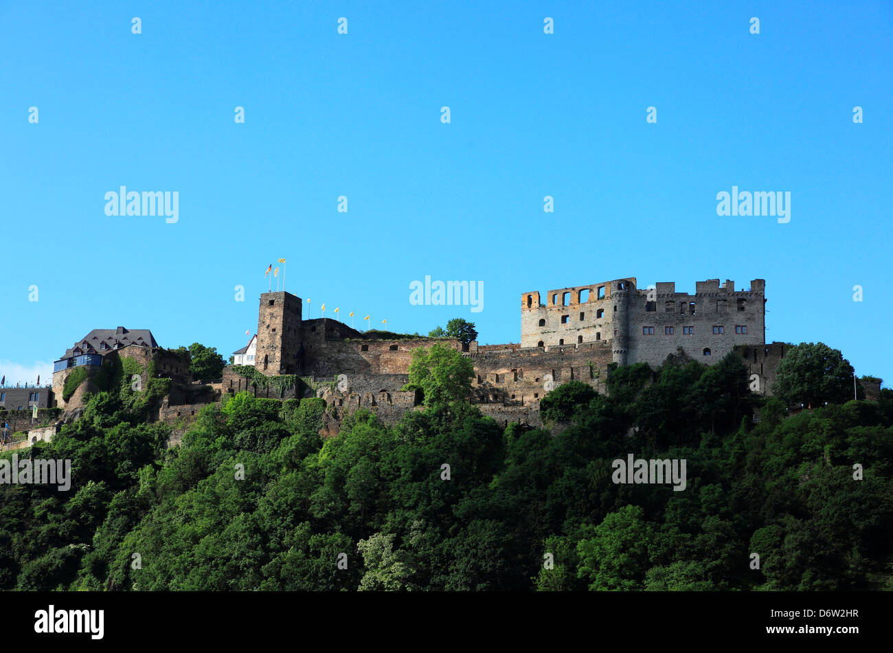 Rheinfels hi-res stock photography and images - Alamy