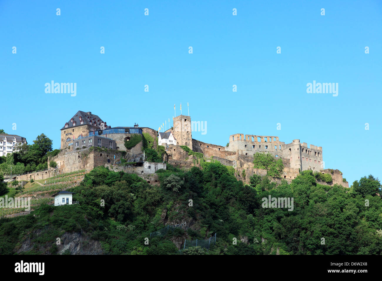 Germany, River Rhine, Rheinfels Castle Stock Photo - Alamy