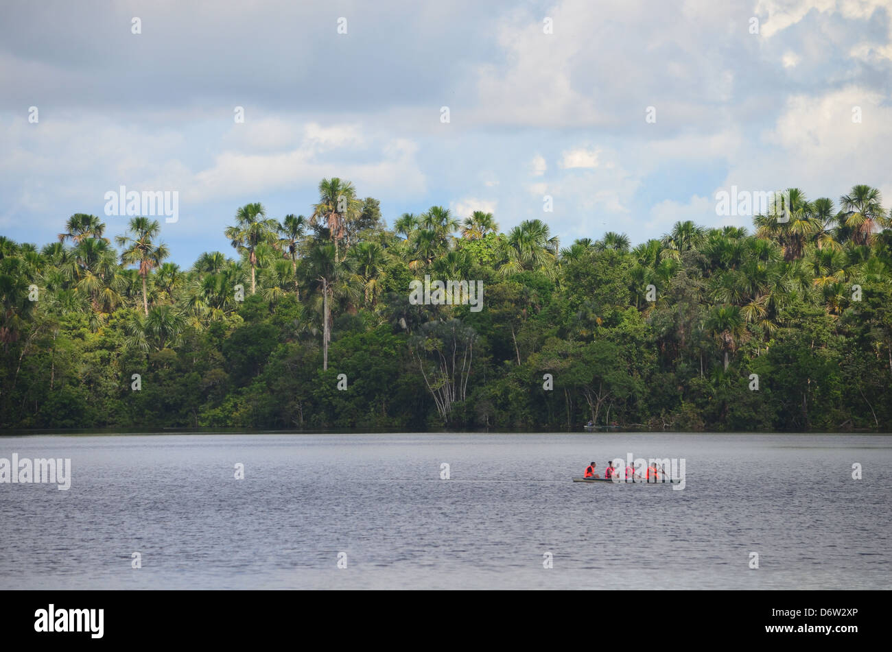 Amazon rainforest, river and treeline Stock Photo - Alamy