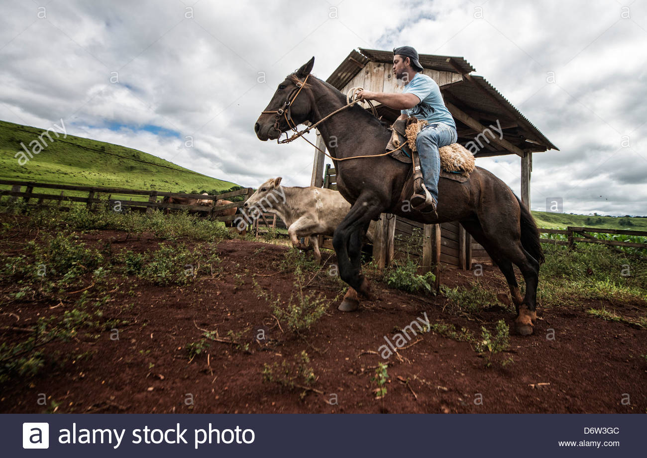 Brazilian Cowboy Stock Photos & Brazilian Cowboy Stock Images - Alamy