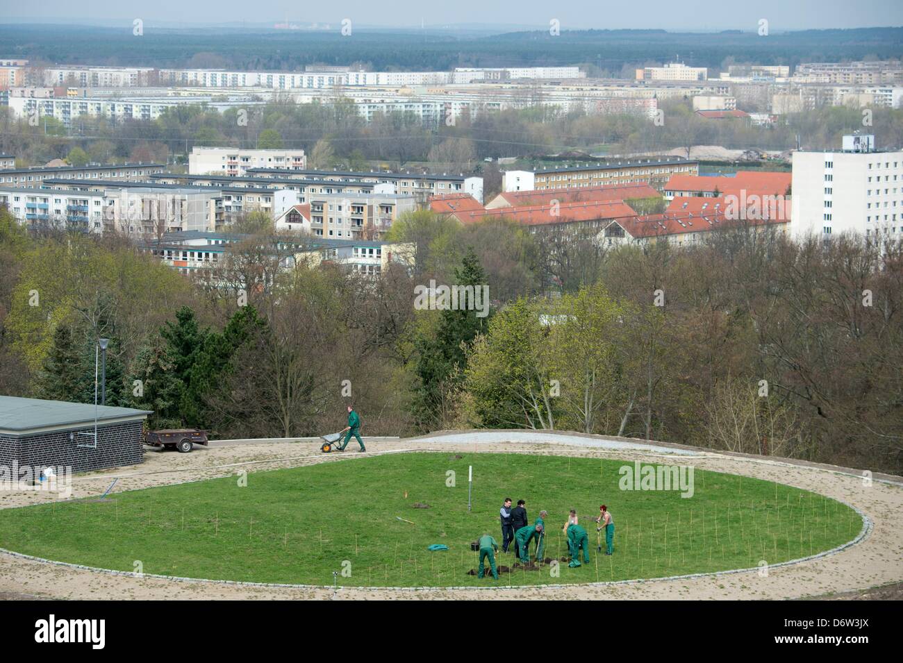 Workers prepare to plant grapevines on a built up vineyard for the 2015 ...
