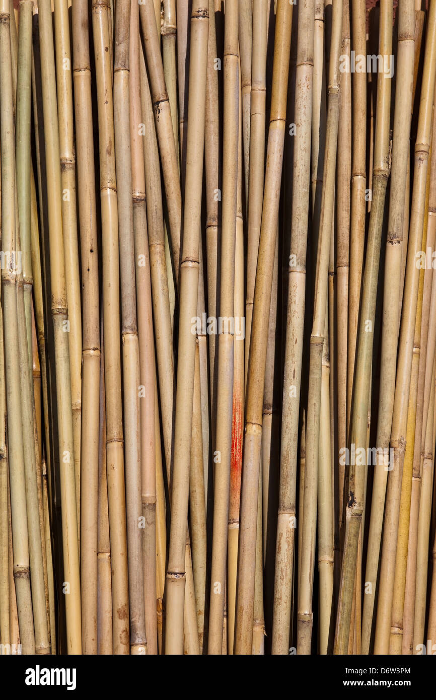 Bamboo canes hi-res stock photography and images - Alamy