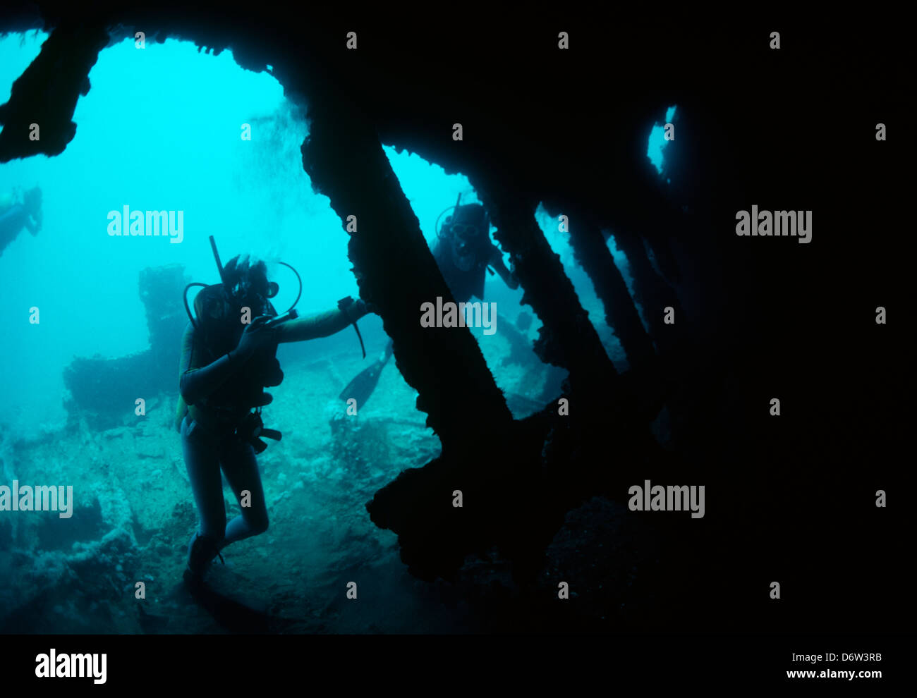 Jeff rotman diver boat hi-res stock photography and images - Alamy