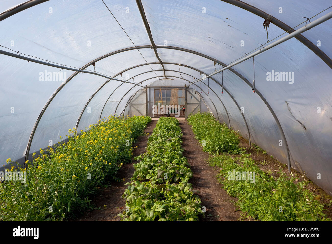 Poly tunnel horticulture hi-res stock photography and images - Alamy