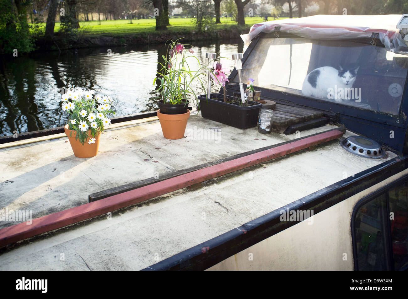 Cat on houseboat hi-res stock photography and images - Alamy