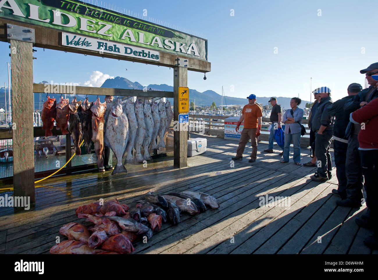 Valdez derby hi-res stock photography and images - Alamy