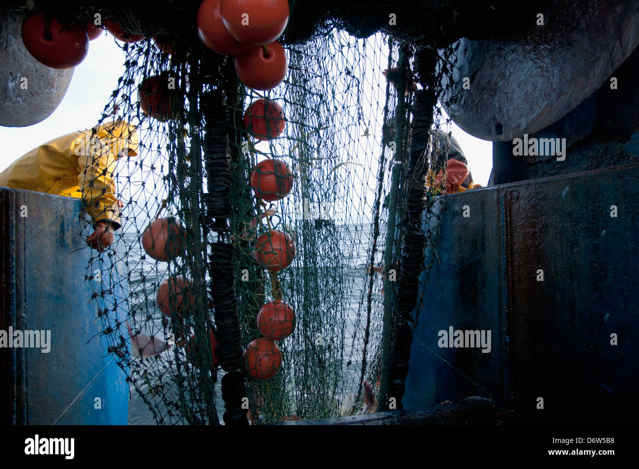 Fishermen hauling back dragger net on fishing trawler. Stellwagen Banks ...