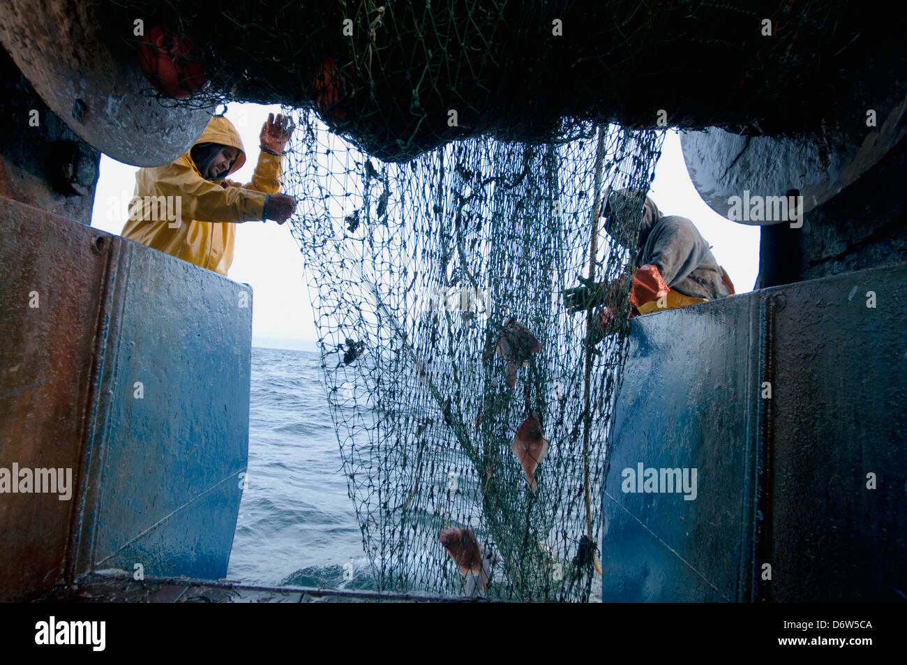 Fishermen hauling back dragger net on fishing trawler. Stellwagen Banks ...