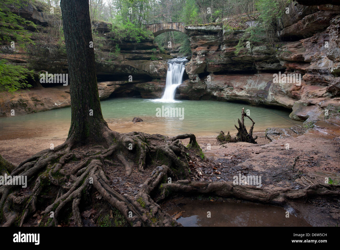 Waterfall in a forest, Upper Falls, Hocking Hills State Park, Logan ...