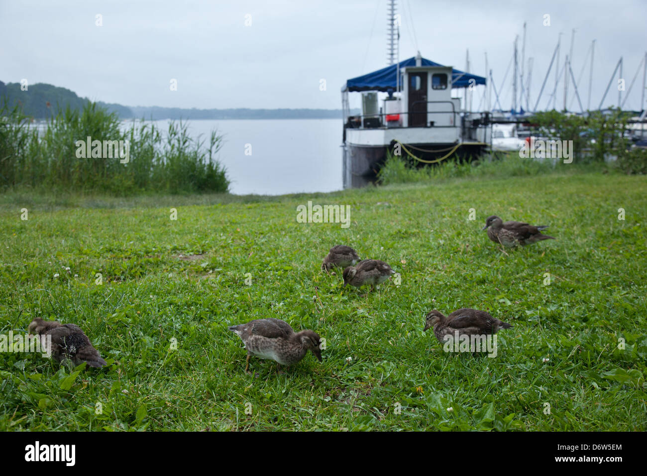 Ferch hi-res stock photography and images - Alamy