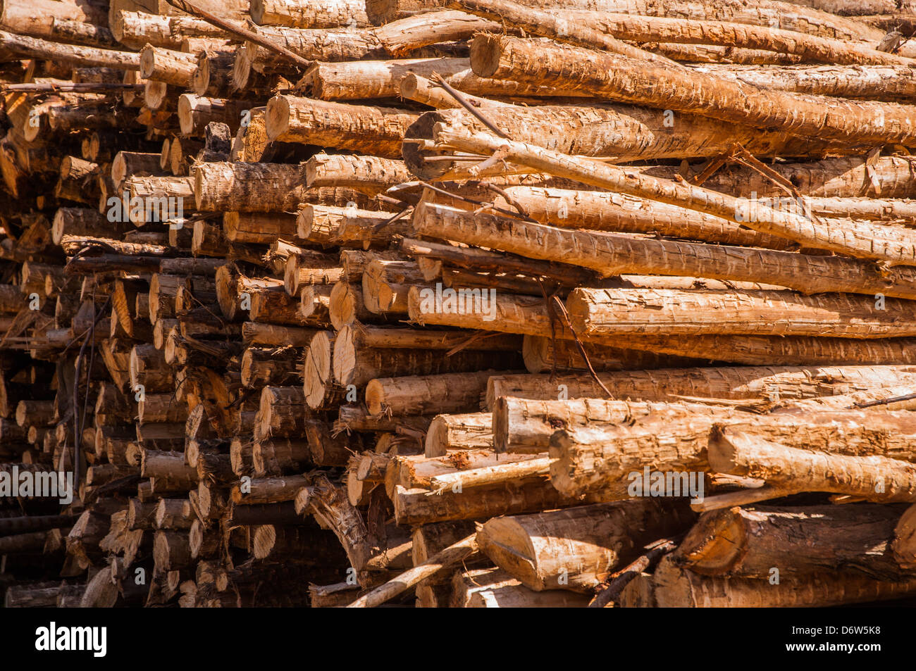 Stacks of wood Stock Photo - Alamy