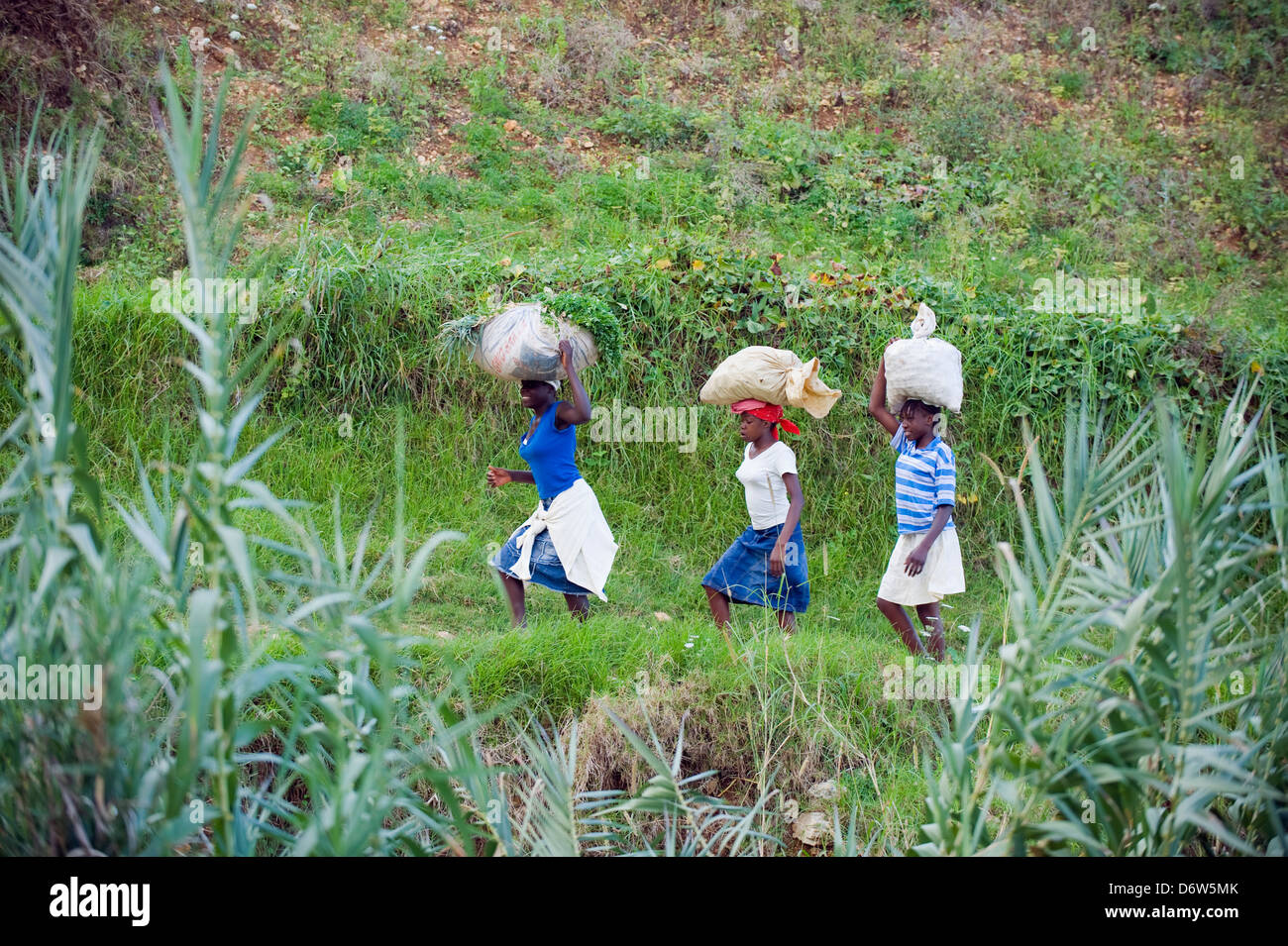 girls carrying grain, Kenscoff mountains above Port au Prince, Haiti ...