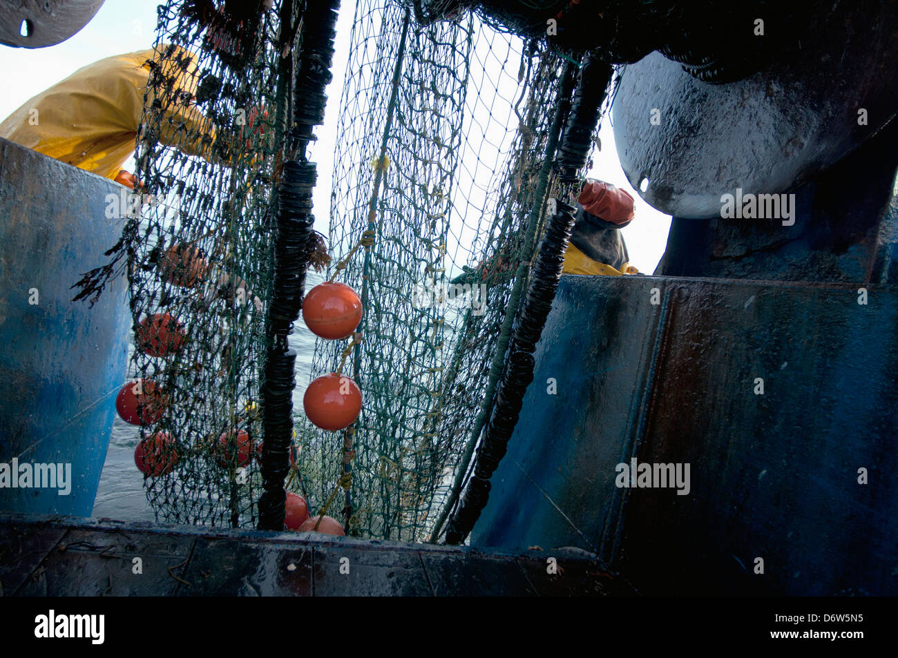 Fishermen hauling back dragger net on fishing trawler. Stellwagen Banks ...