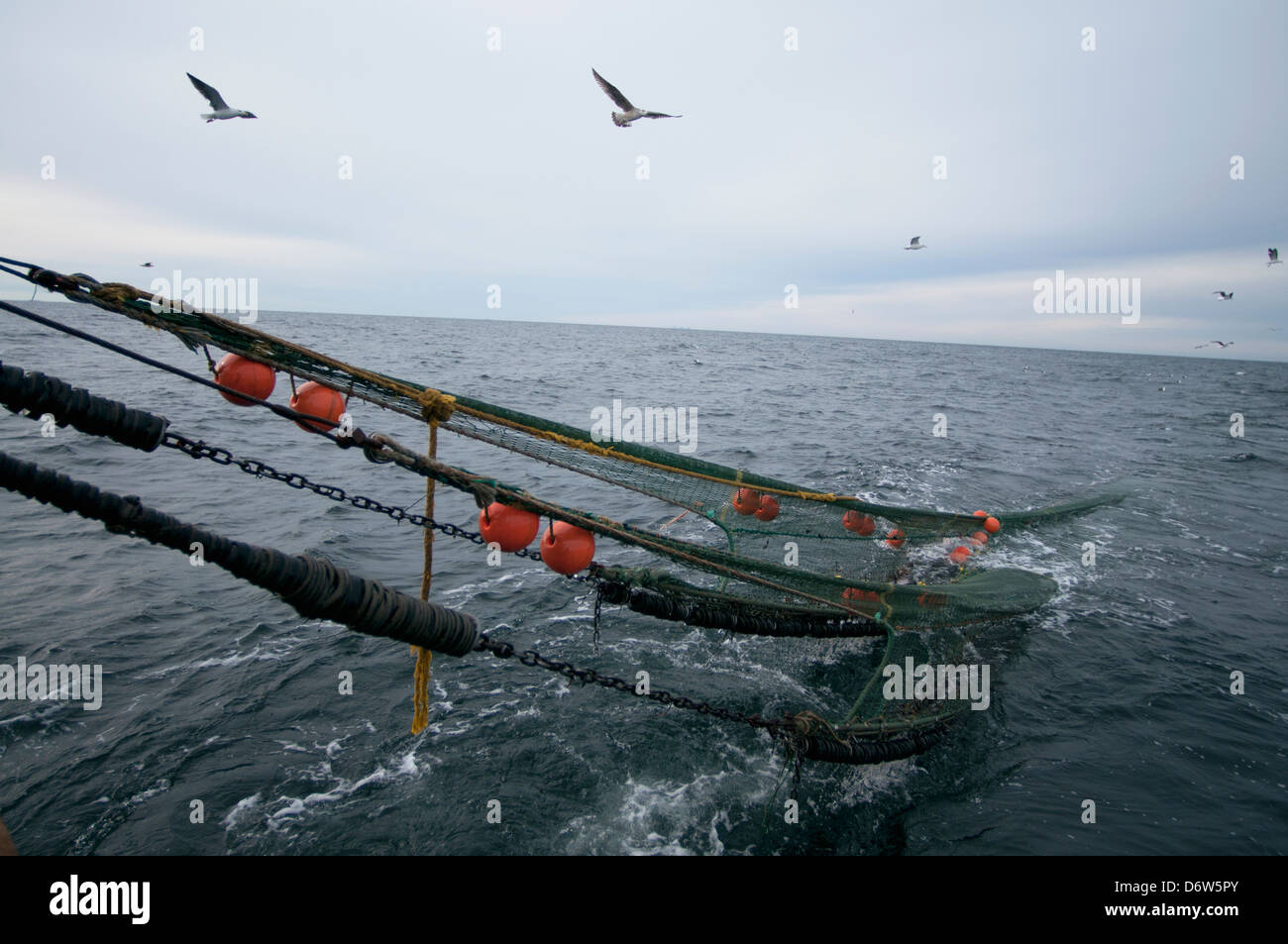 Trawling Net Stock Photos & Trawling Net Stock Images - Alamy
