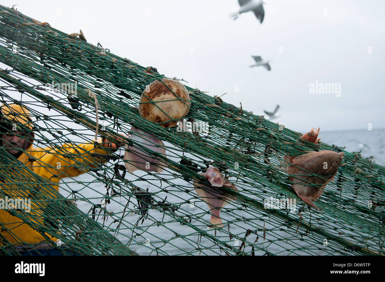 Hauling Net Fishing Boat High Resolution Stock Photography and Images ...