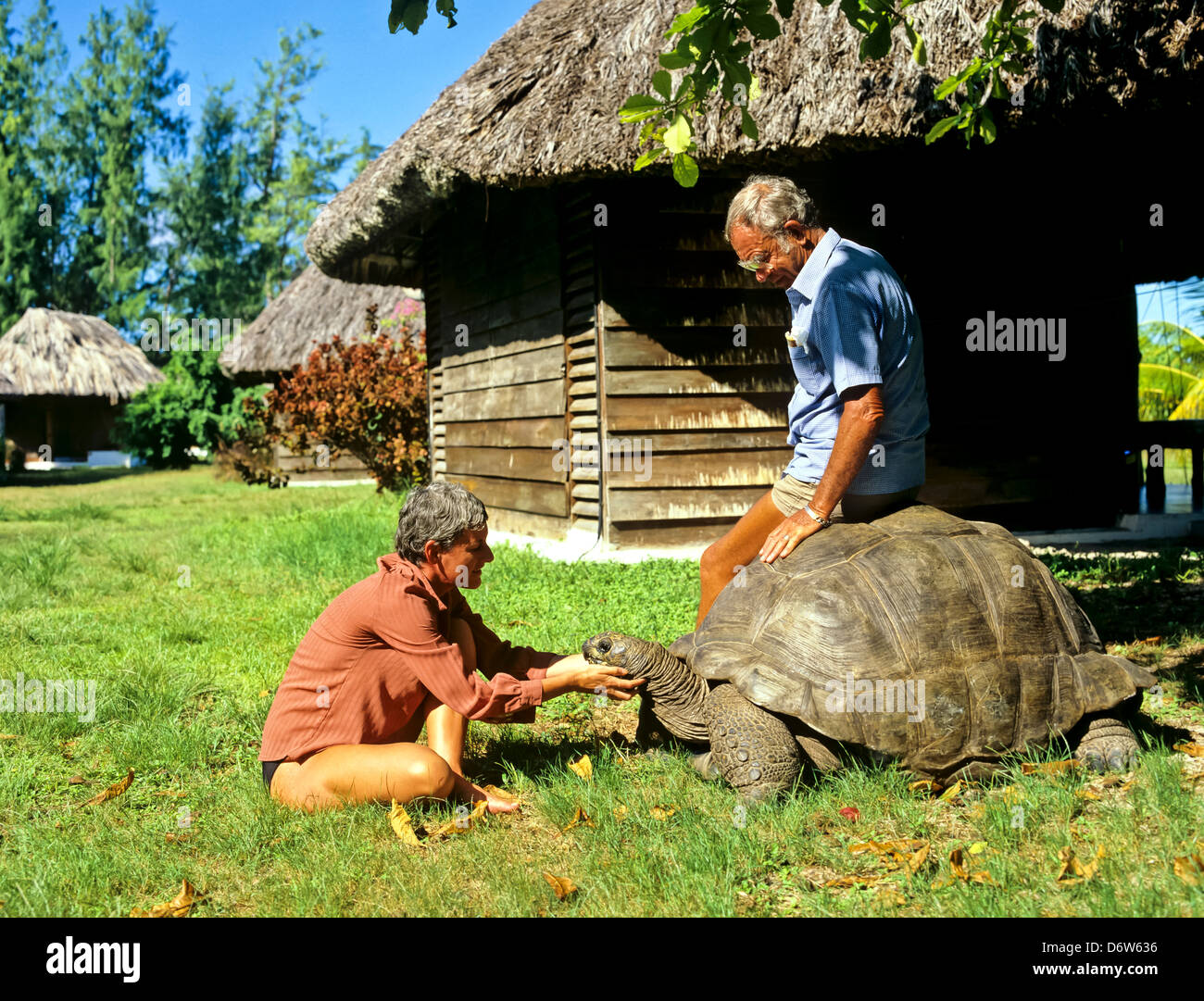 Seychelles bird island hi-res stock photography and images - Alamy
