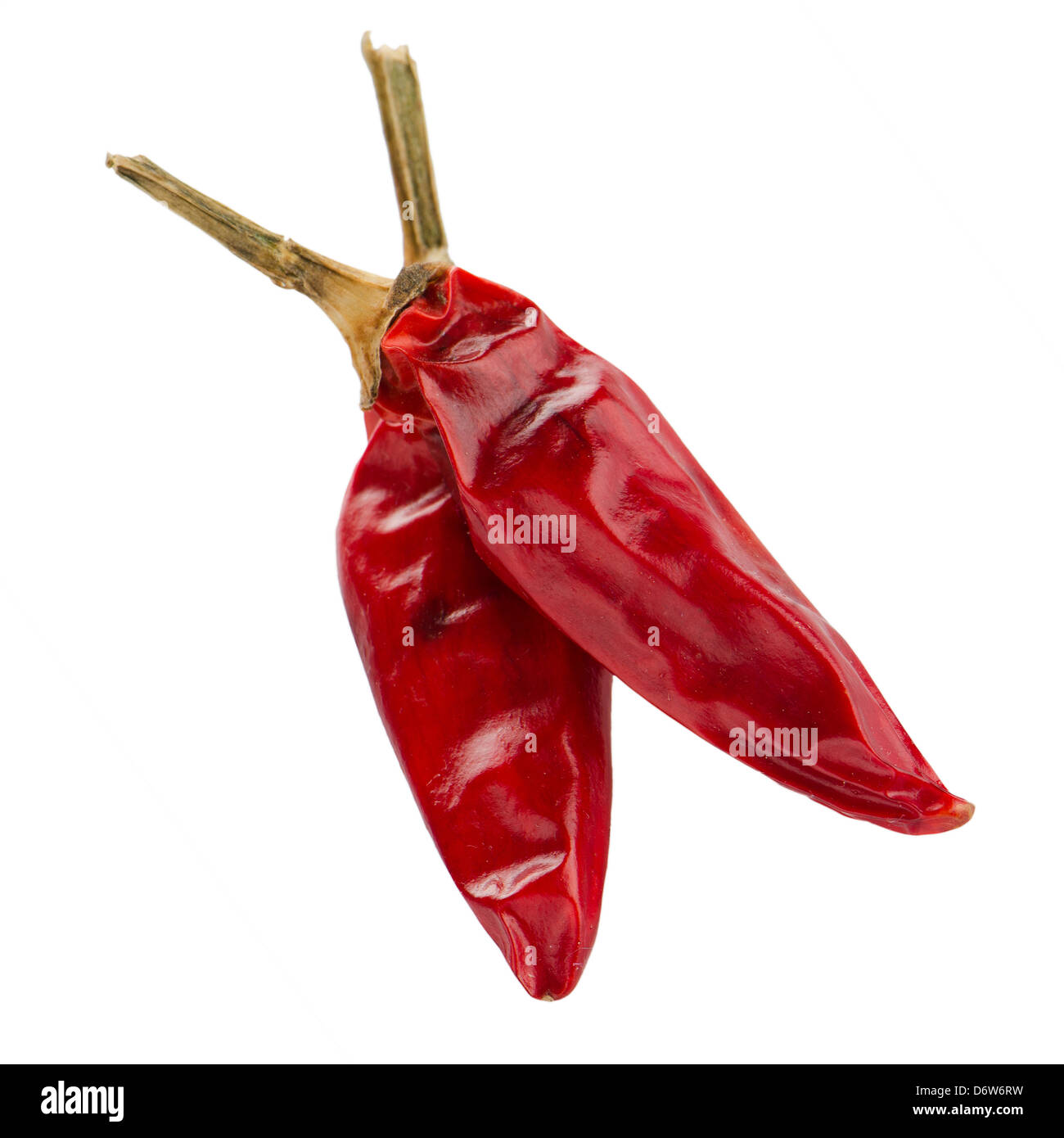 Two red hot chili pepper on a white background Stock Photo - Alamy