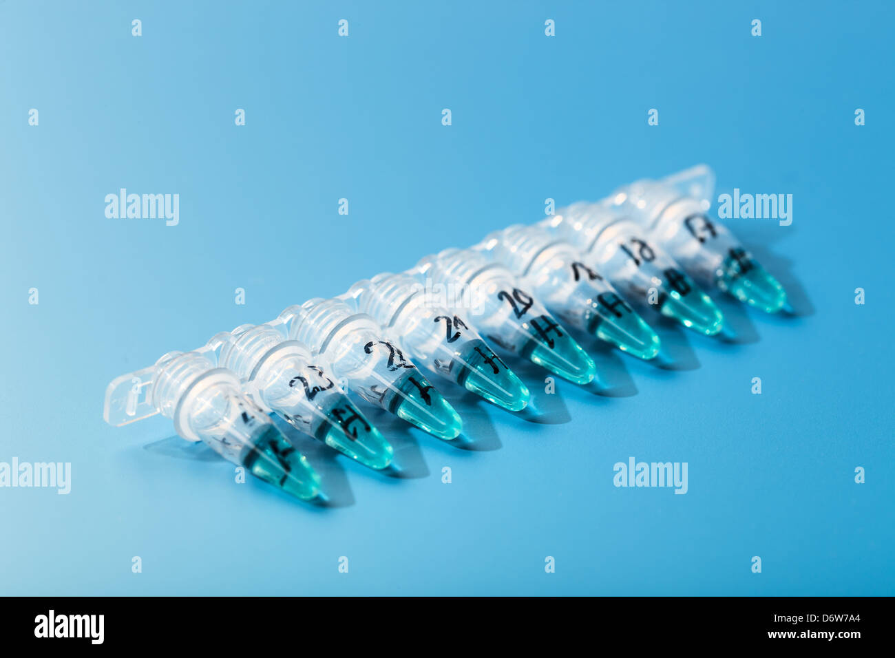 Microtubes with biological samples in criminalistic laboratory for DNA ...