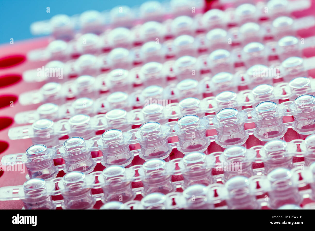 Polymerase chain reaction assay hi-res stock photography and images - Alamy