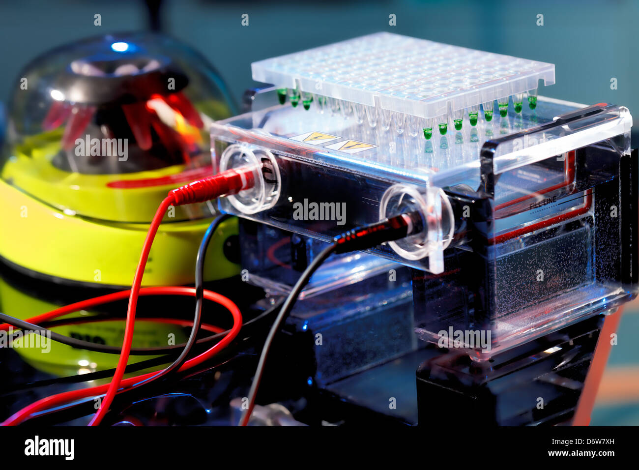 Build a gel electrophoresis chamber Stock Photo - Alamy