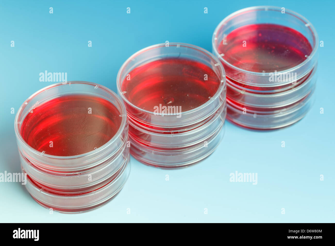 Stack of petri dishes Stock Photo - Alamy