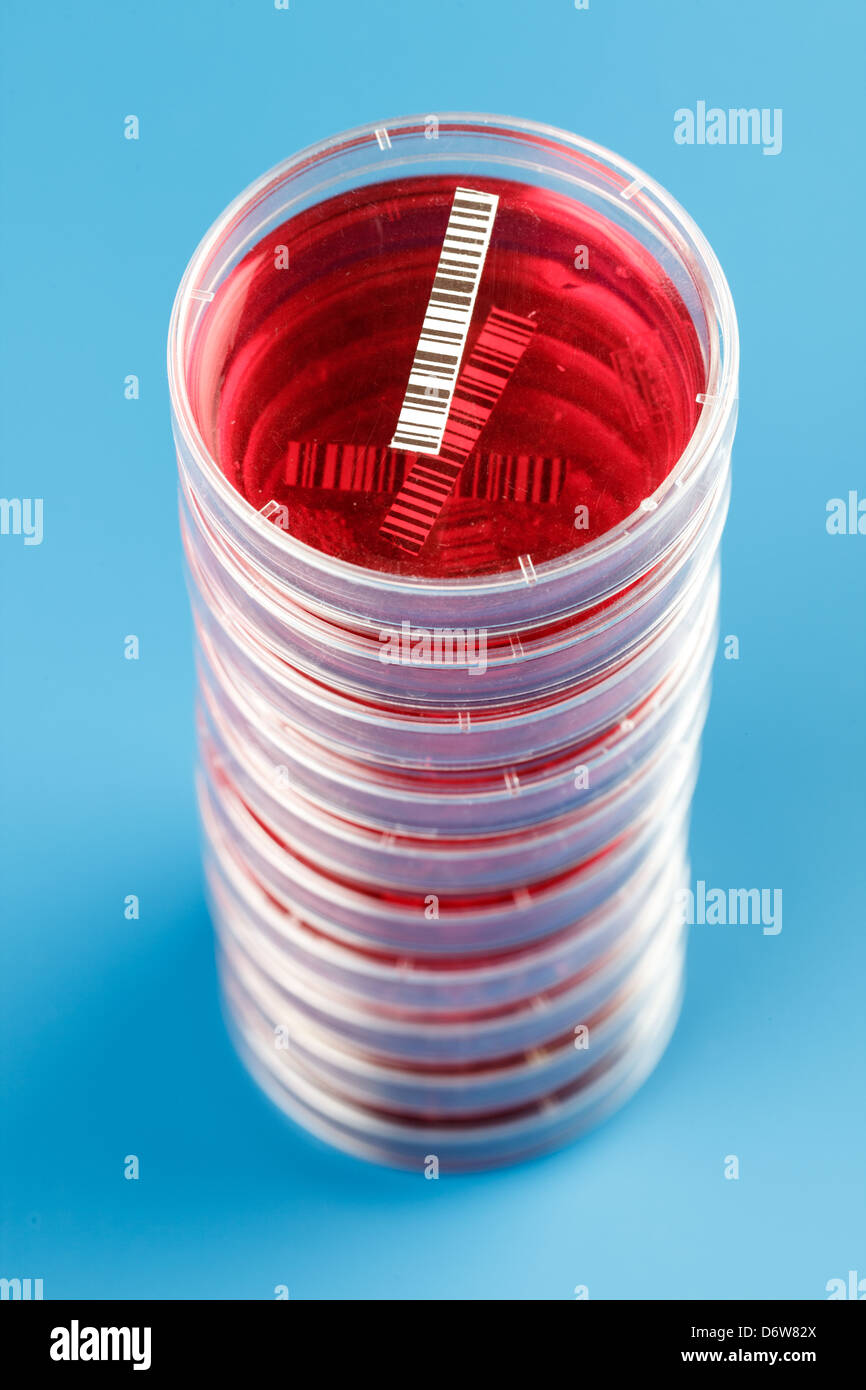 Petri dishes stack hi-res stock photography and images - Alamy