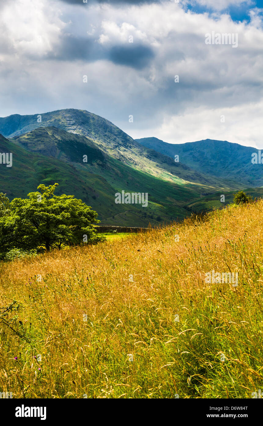 Wetherlam and Tilberthwaite Fells from the side of Lingmoor Fell in the ...