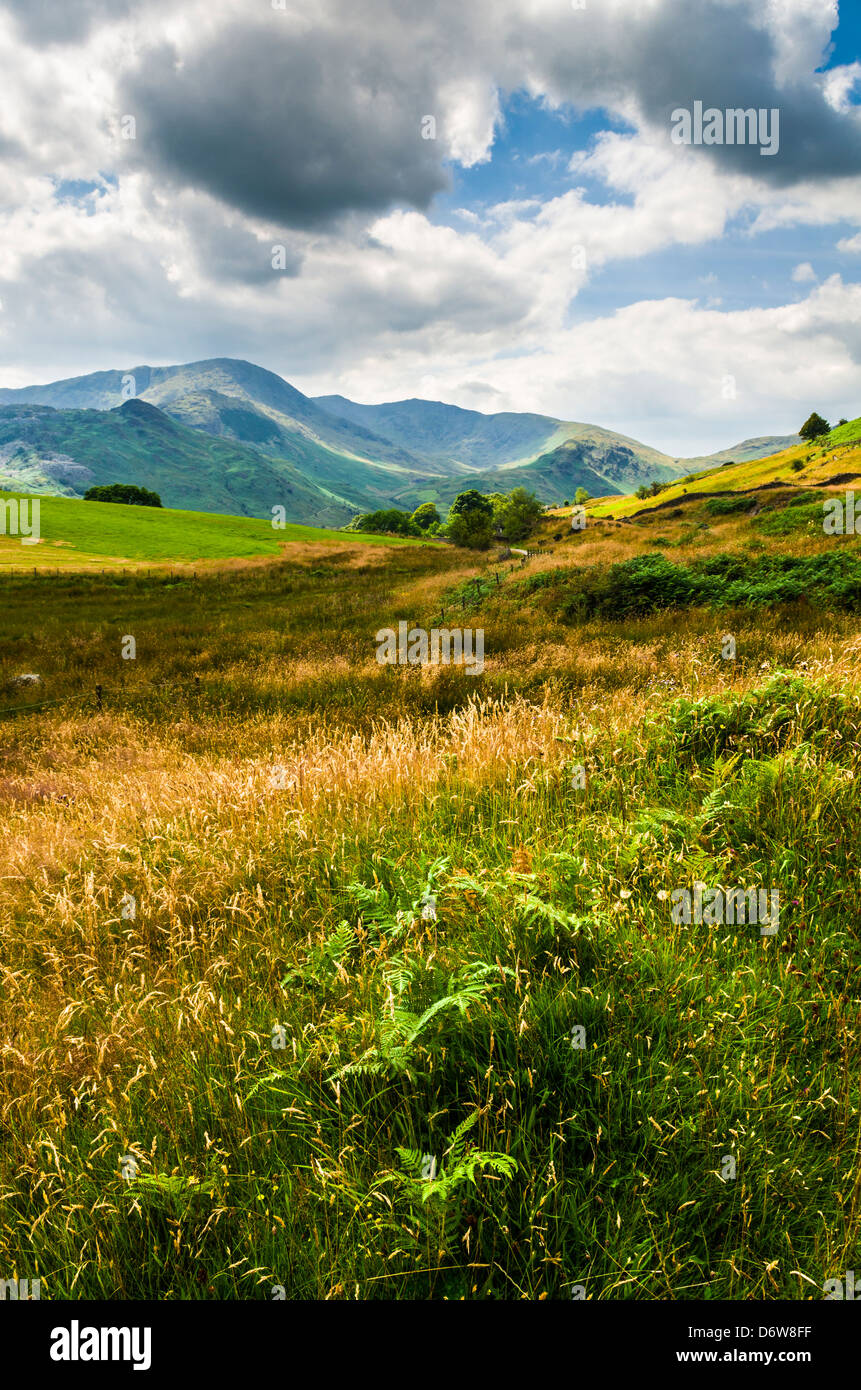 Wetherlam and Tilberthwaite Fells from the side of Lingmoor Fell in the ...