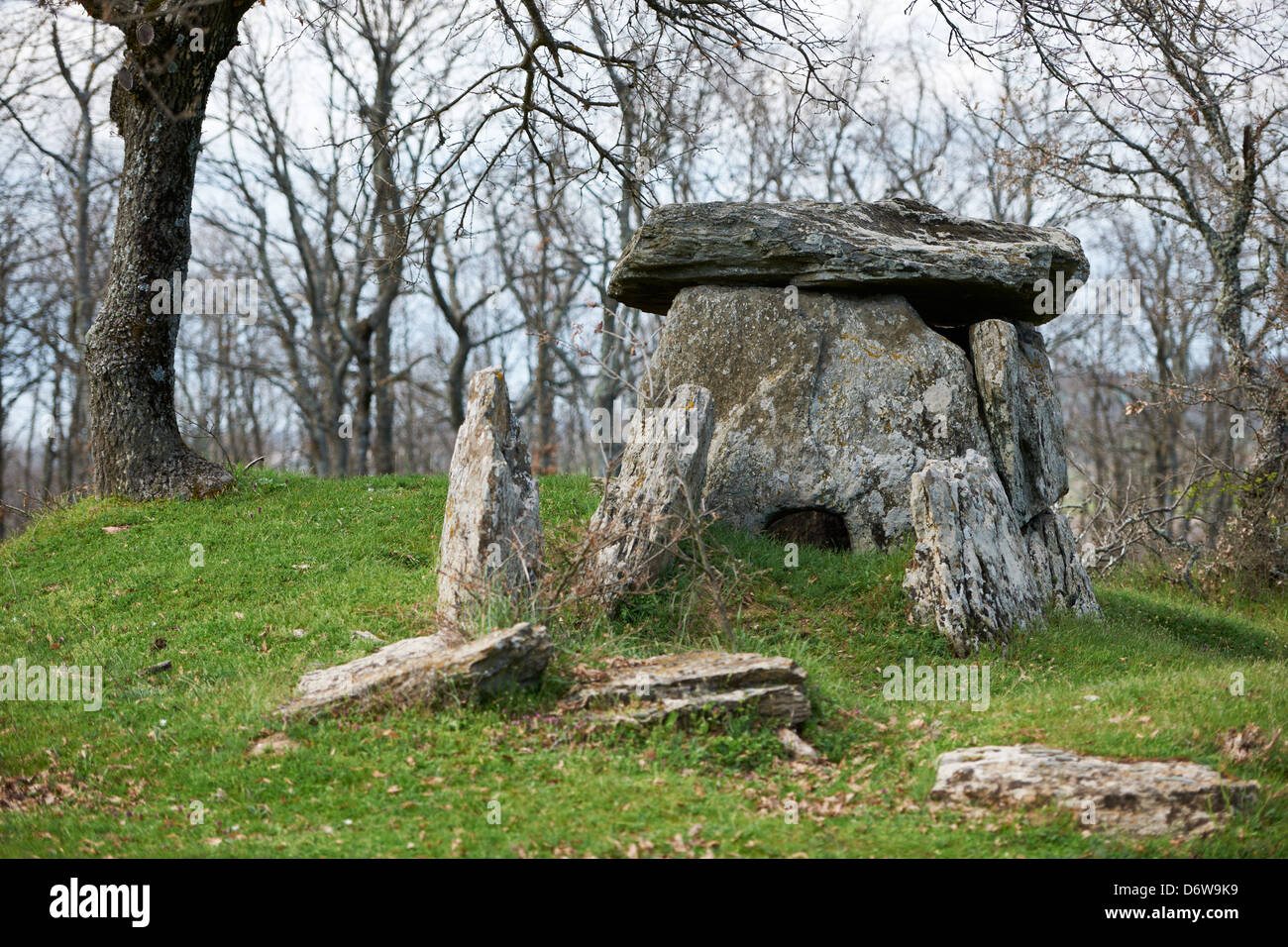 Ancient Thracian Dolmen stone-built tomb in oak forest near Edirne city ...