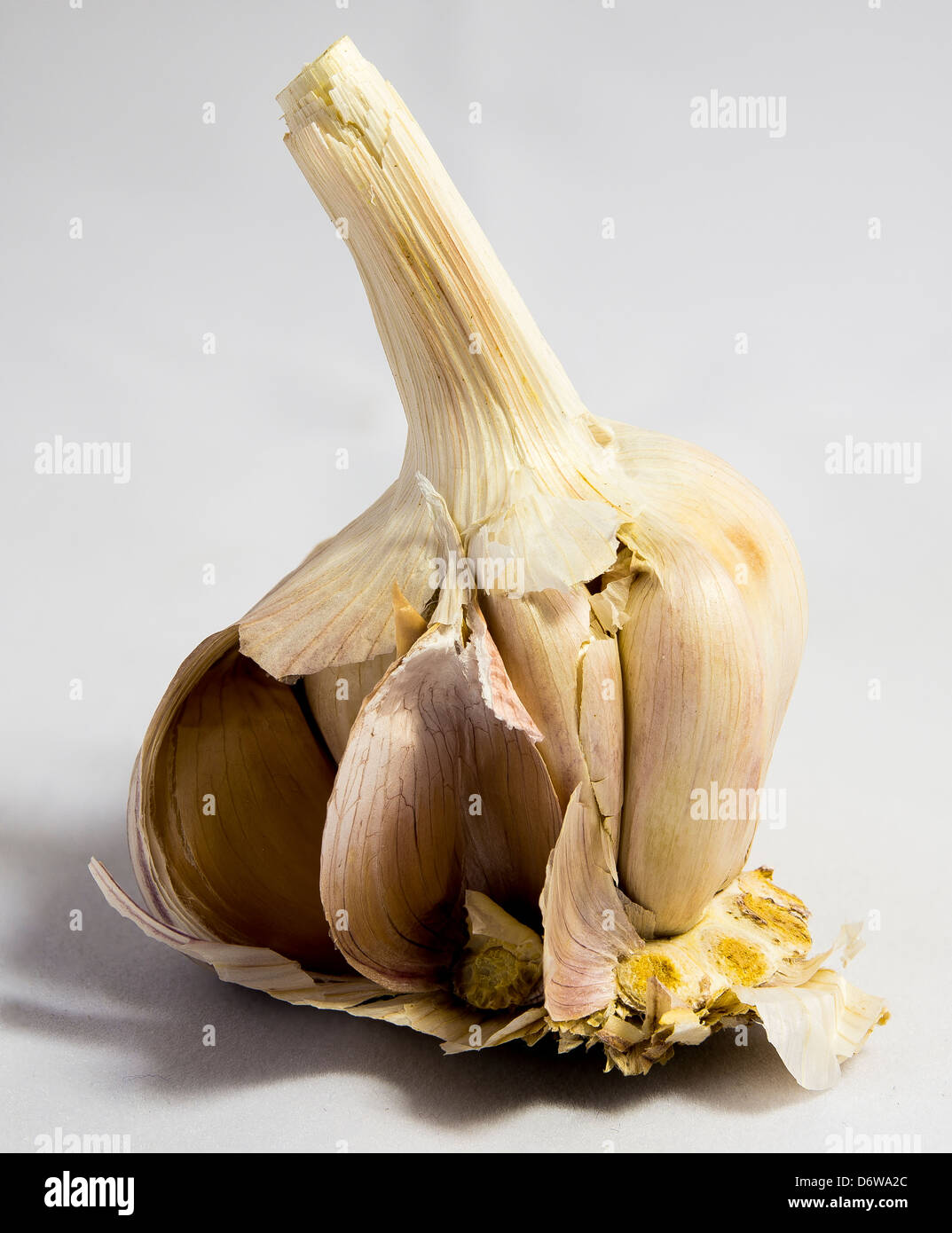 Eat food garlic hi-res stock photography and images - Alamy