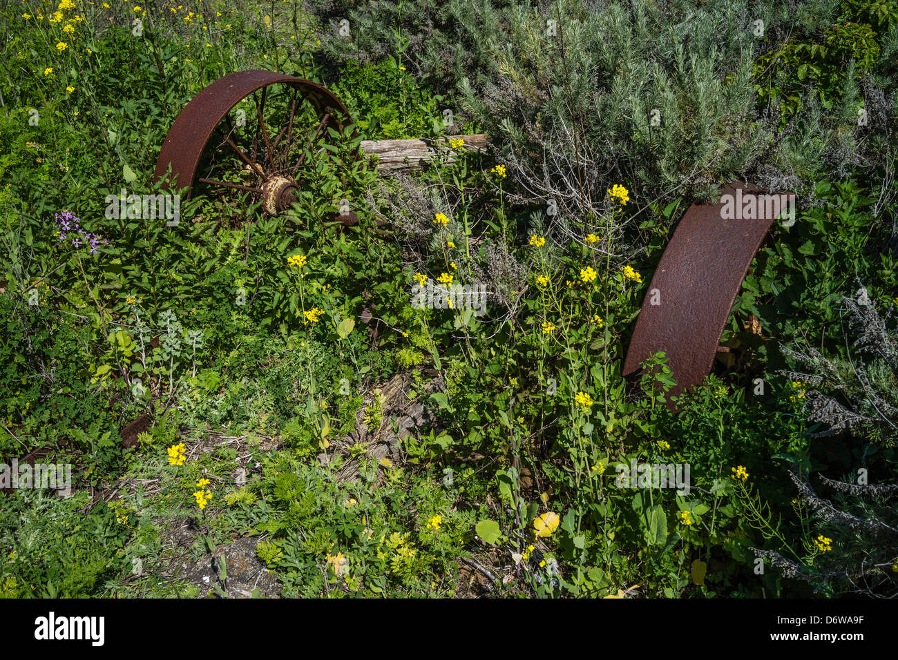 Old tractor with yellow wheels hi-res stock photography and images - Alamy