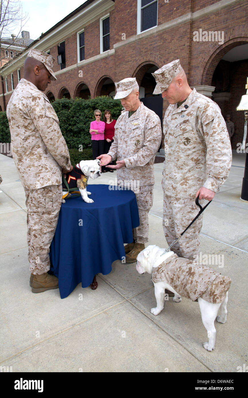 Commandant of the US Marine Corps Gen. James F. Amos, center, pins the ...