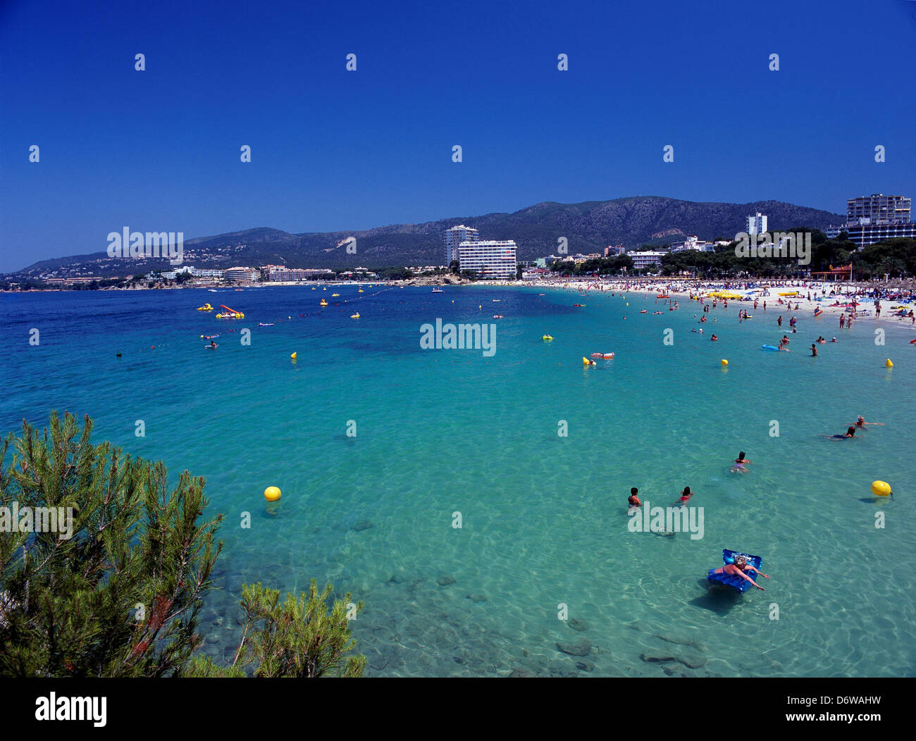Palma nova waterfront hi-res stock photography and images - Alamy